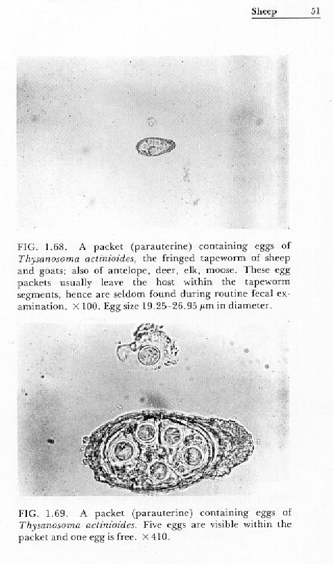 Common Goat and Sheep fecal parasites to look for with microscope